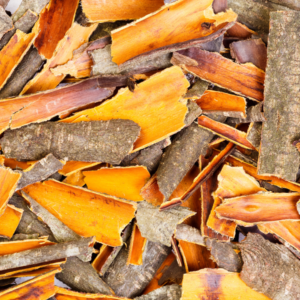 Buckthorn Bark – Rhamnus frangula – NATYRAL & ATC